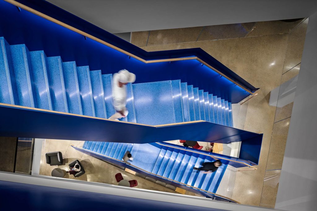 Synergi | Feature Stairs, Railings, & Windscreens
